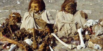 12-Year Search Ends: Human Remains Found in Aruba Linked to Missing ...