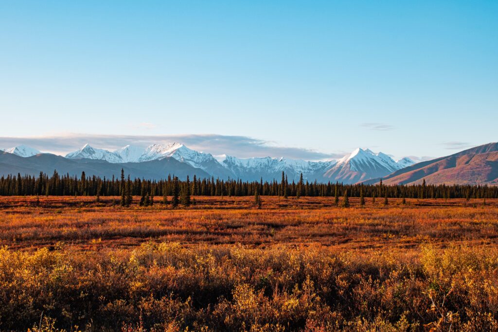 Bordering Canada: How US Tariffs Impact Communities from Alaska to ...